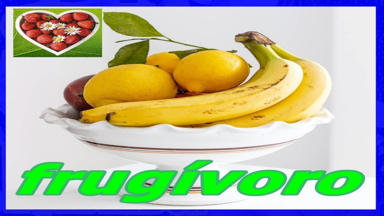 🍒 Que significa frugivoro en español. 🍇 De que se alimentan los ...