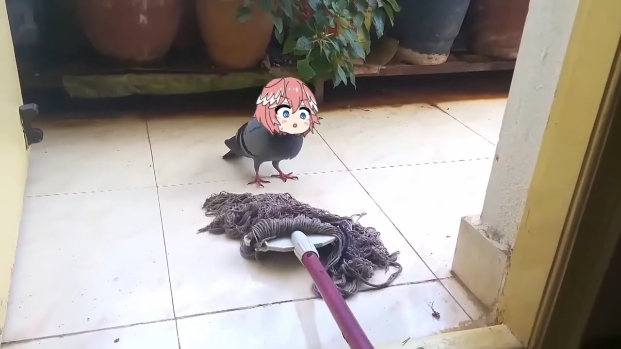 Very agressive Takene lui bird | Animal hololive - YouTube