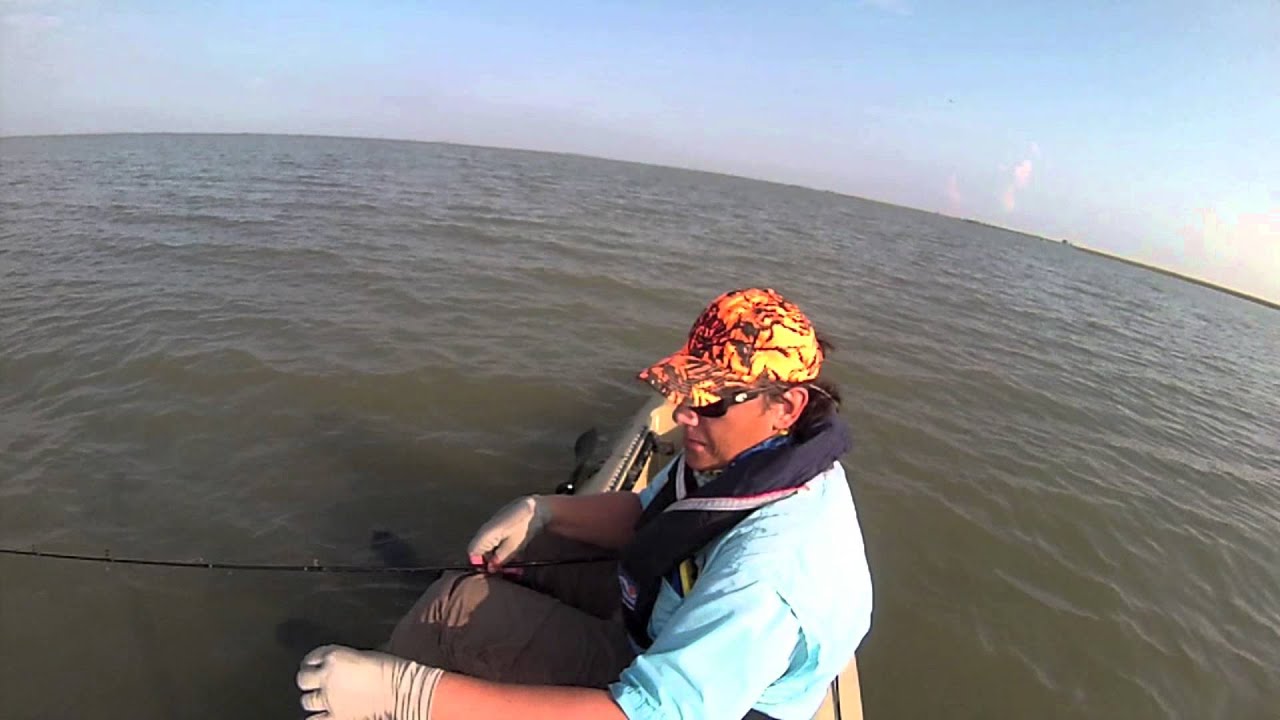 Bay Wolf Movie - YouTube