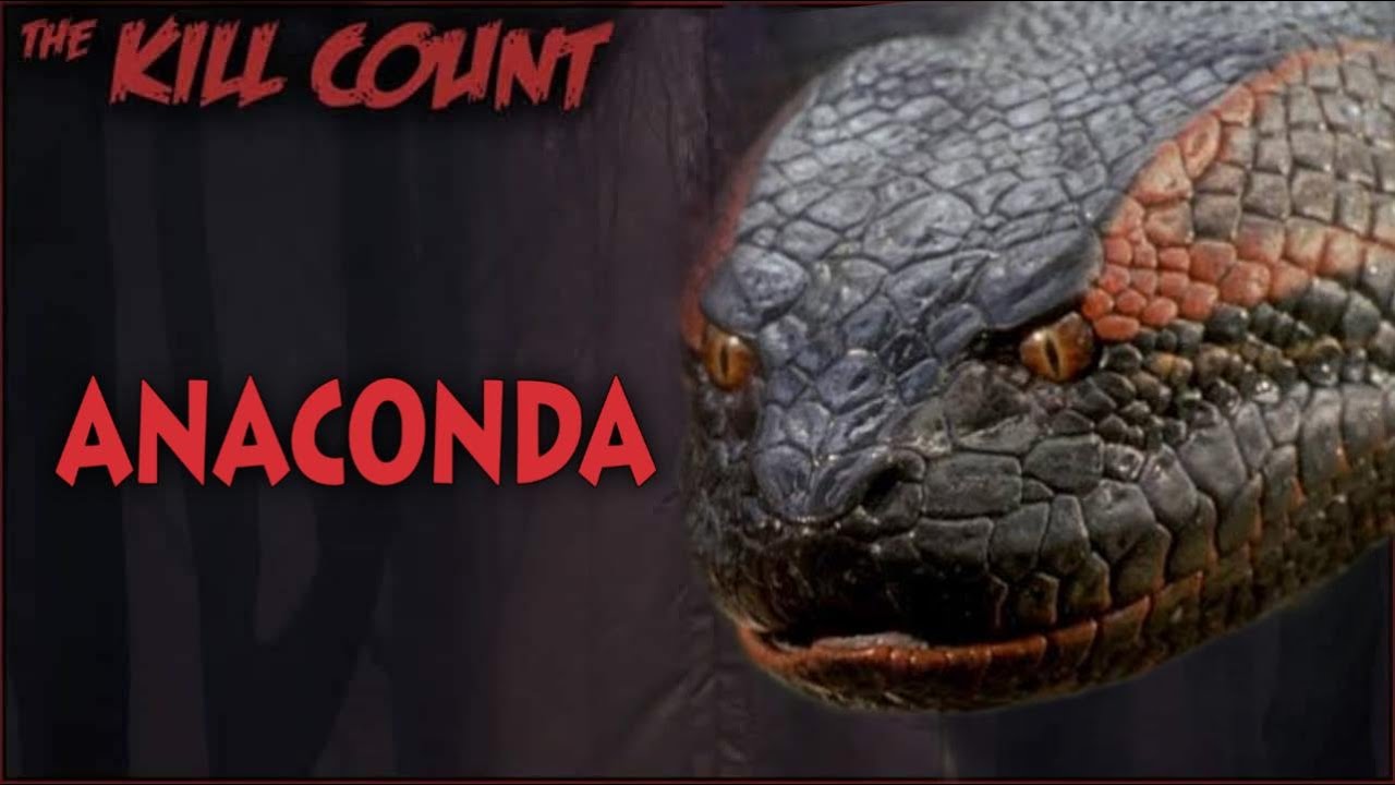 25 Fascinating Facts About Anaconda Snake - YouTube