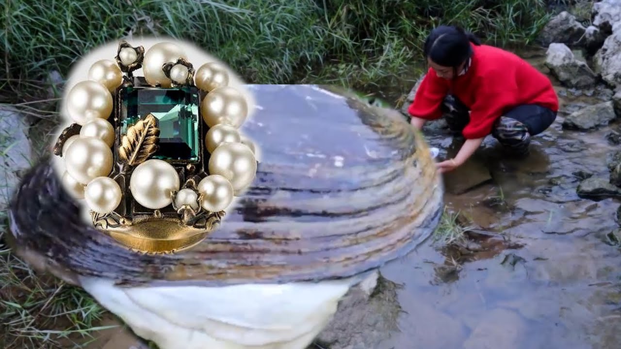 The girl in red caught a 1200 year old clam shell in a rock and ...