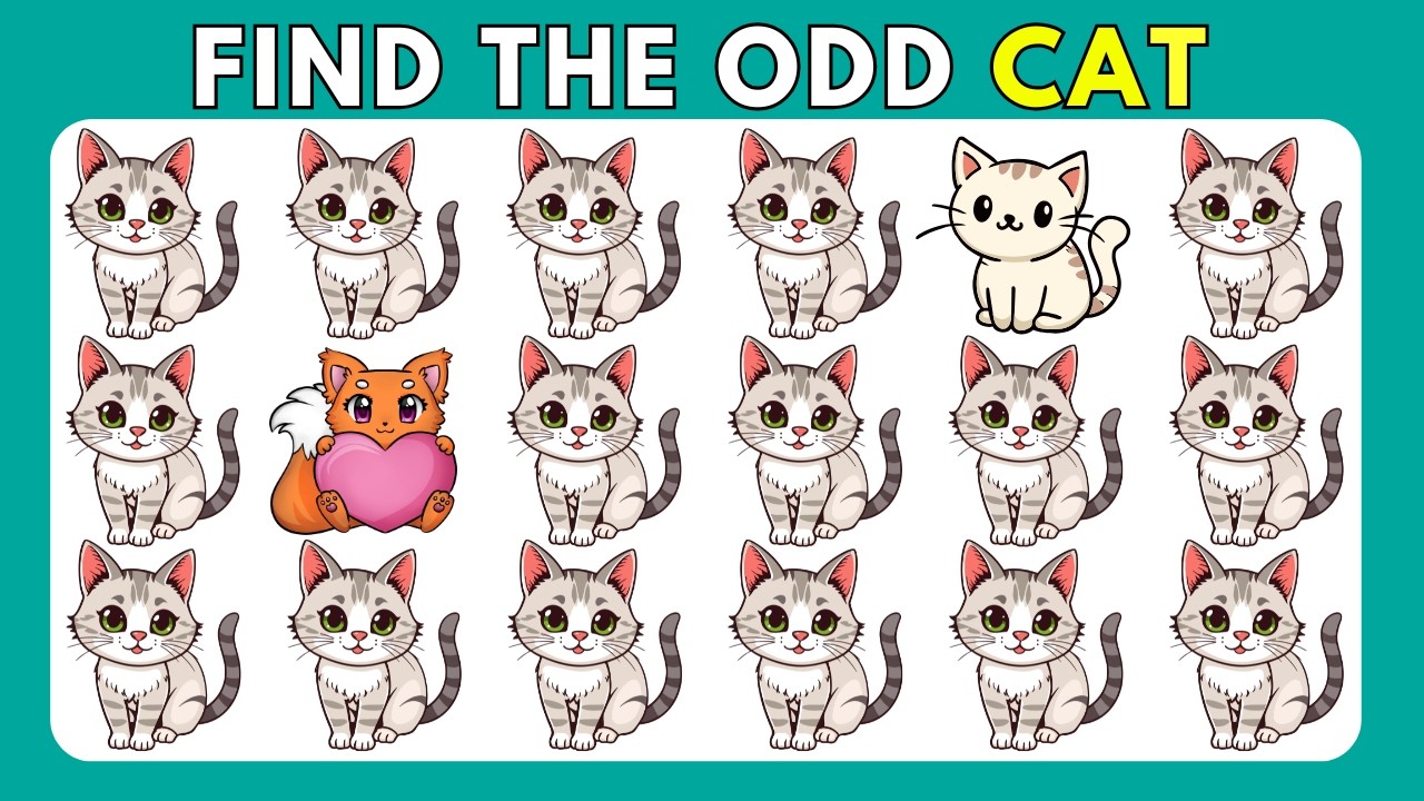 Find the ODD One Out - Cats Edition | Ultimate Brain Teaser Challenge ...