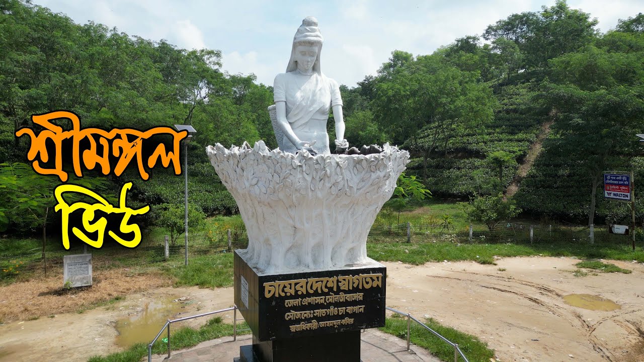 Sreemangal The Beauty of Nature | Drone View of Sreemangal Town | পাখির ...