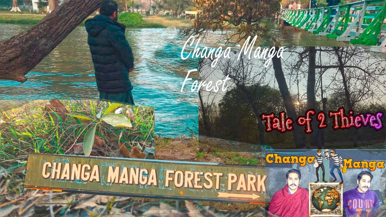 I visited World's Largest 😲 Artificial Forest|Changa Manga Jungle #vlog ...