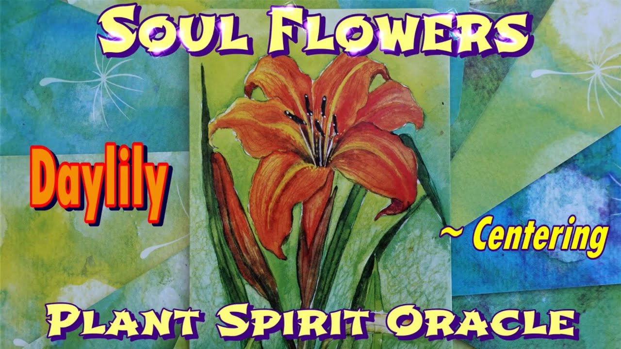 Flower Spirit: Oracle Card for the Day 🌿 DAYLILY 🌿 Short Visual ...