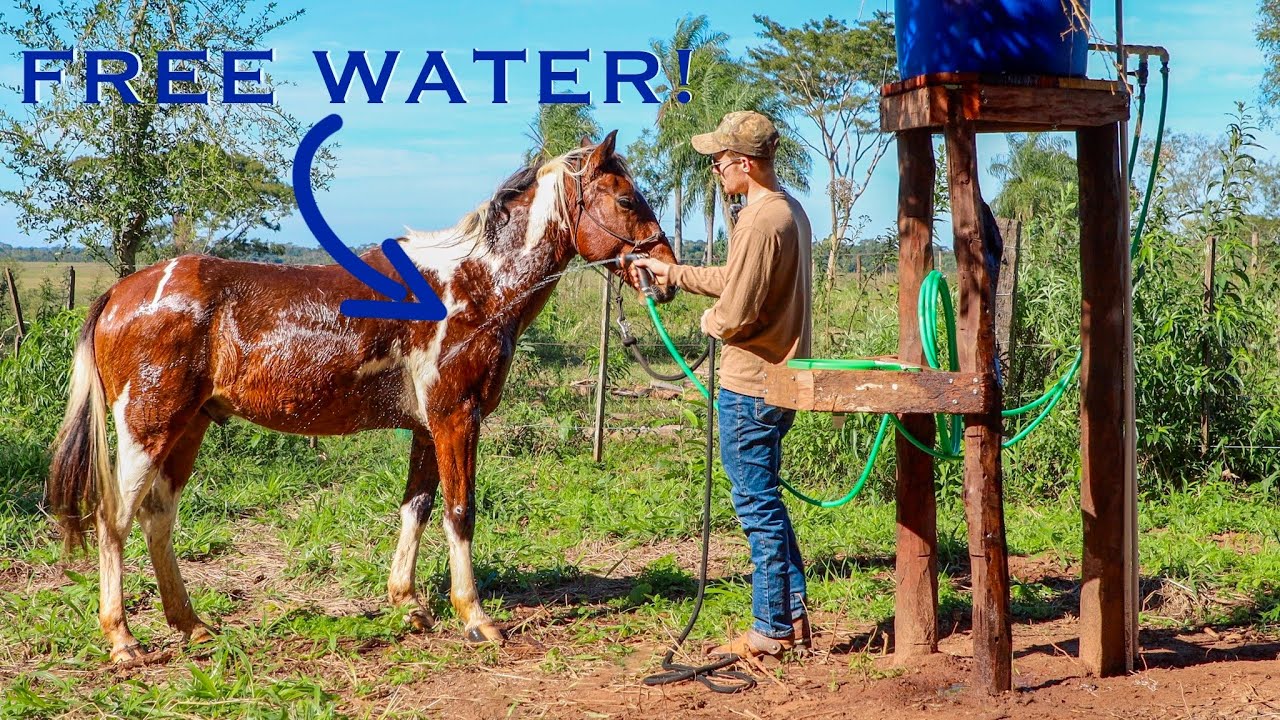 Using A Ram Pump To Build A Water System For My Horses WITHOUT ELECTRICITY (Free Spring Water ...