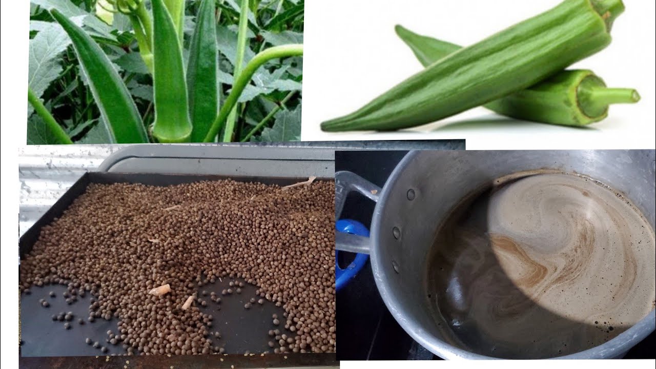 ASI PREPARAMOS EL CAFÈ DE OCRE - YouTube