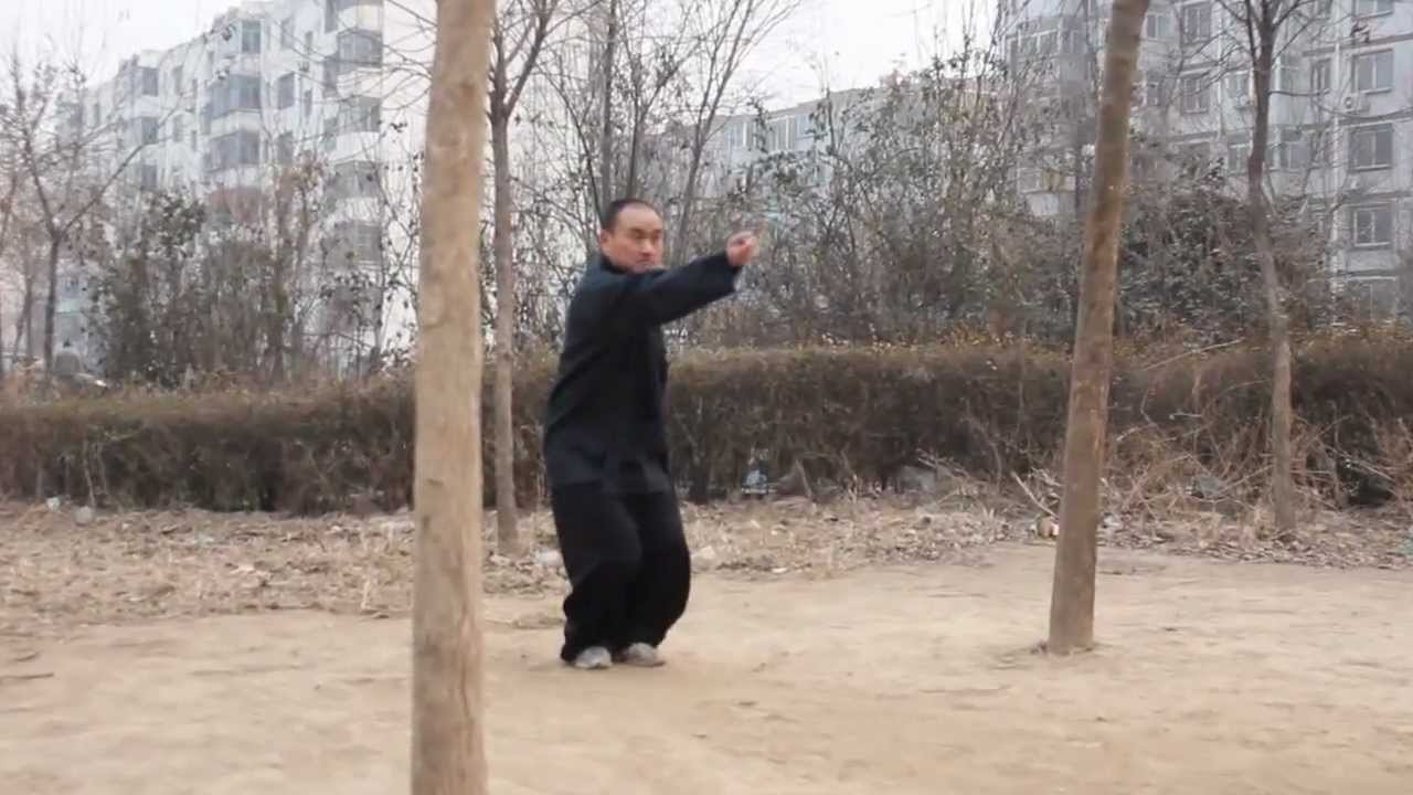 Shang Xing Yi Quan - Ji Xing (Chicken Style) - YouTube