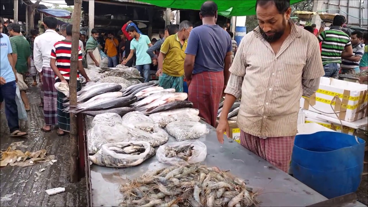Big Fish Market Near Dhaka City Bangladesh | Huge Fresh Fish Available ...