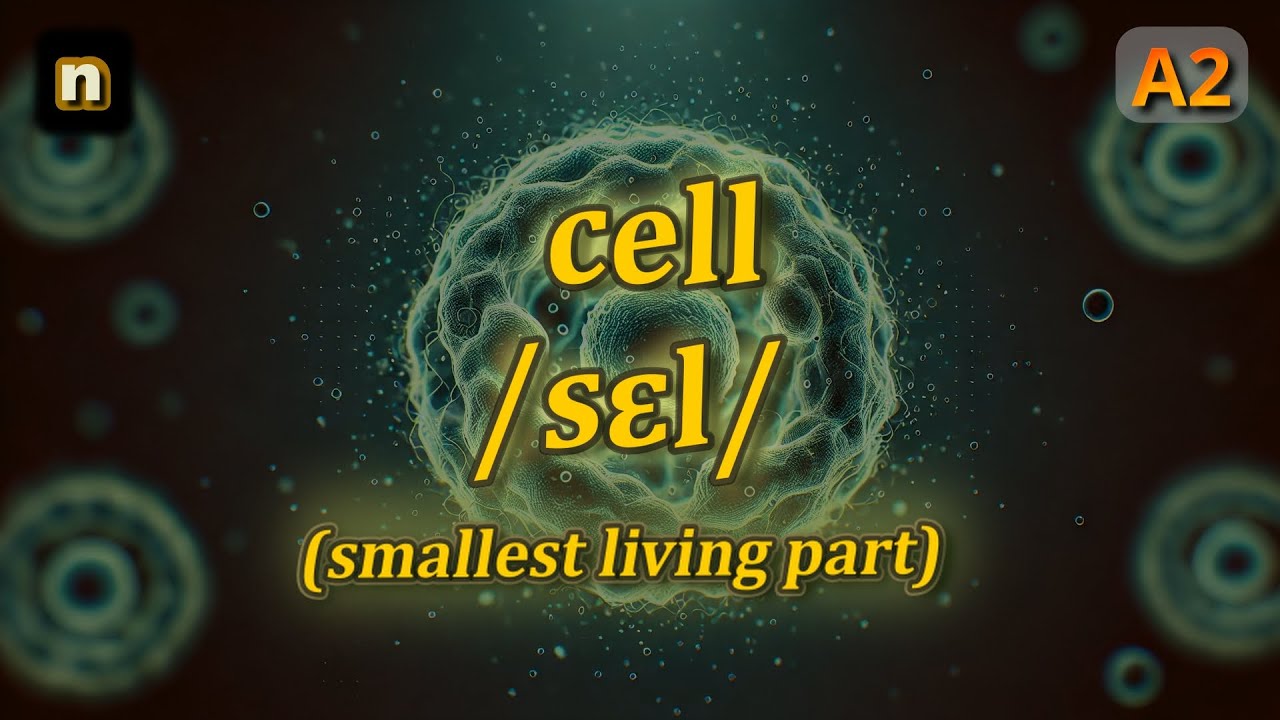 [n] Cell meaning (biological unit) with 5 examples - YouTube