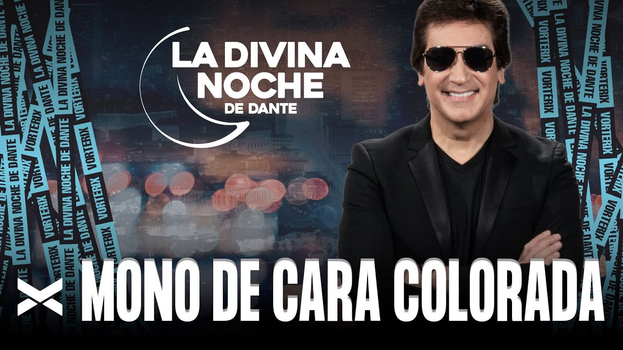 Mono de Cara Colorada - La Divina Noche de Dante Gebel - La Divina ...