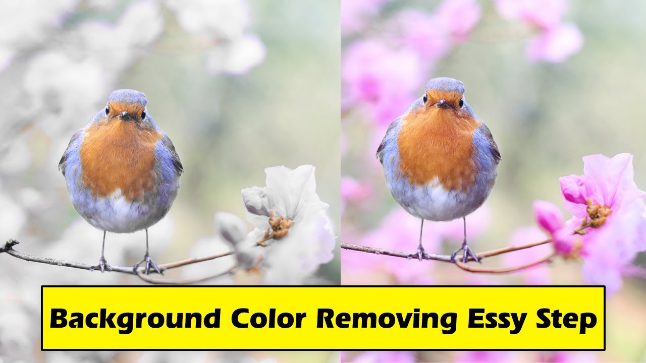 How to Remove Bg Colour Remove Essy - YouTube