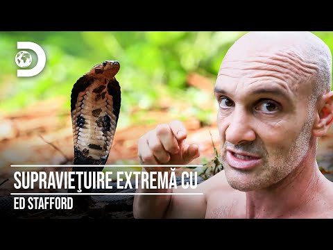 Față în față cu kobra mortală | Supravieţuire extremă cu Ed Stafford