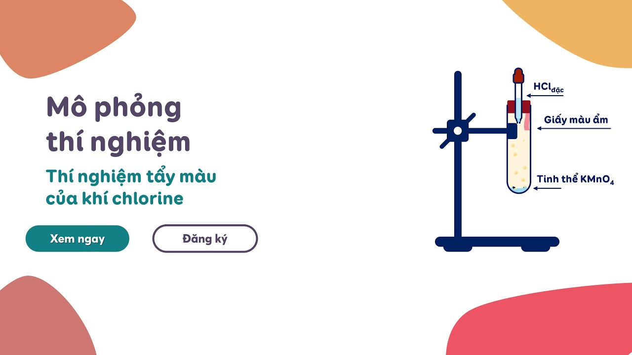 [MÔ PHỎNG THÍ NGHIỆM] 🧪⚗️ Tính tẩy màu của khí chlorine Cl2 🧪⚗️ Hóa học ...