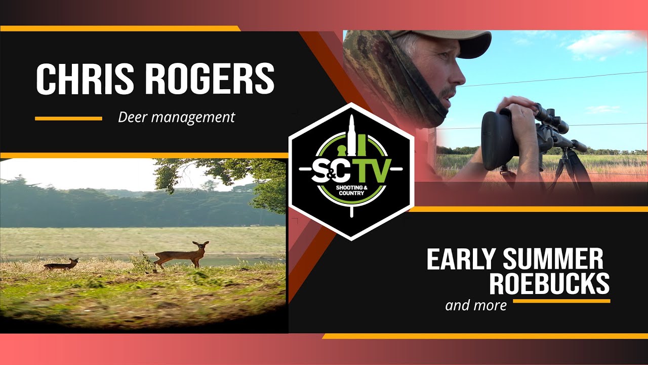 S&C TV | Early Summer Roe Bucks | Deer management with Chris Rogers 42 - YouTube