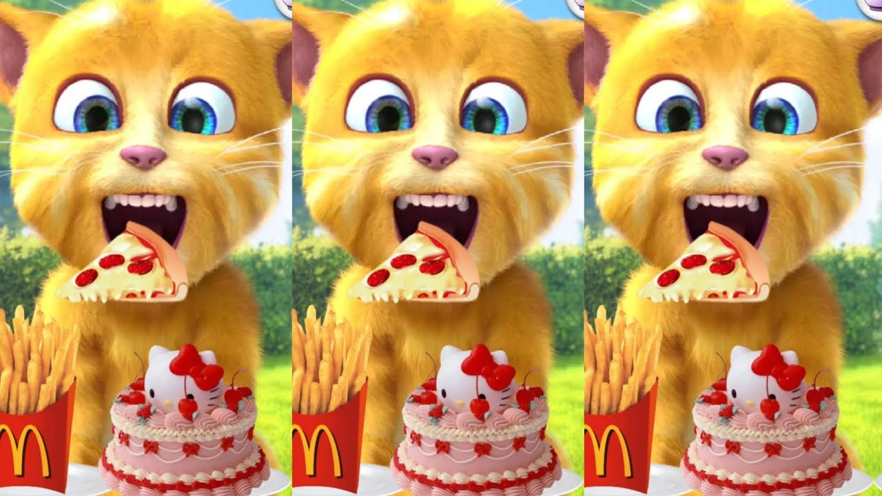 Talking ginger 2 cat funny eating 🥦🍟🥝🌰🥨🍑🥐🍇🍇🍌🎂🥯 full enjoy - YouTube