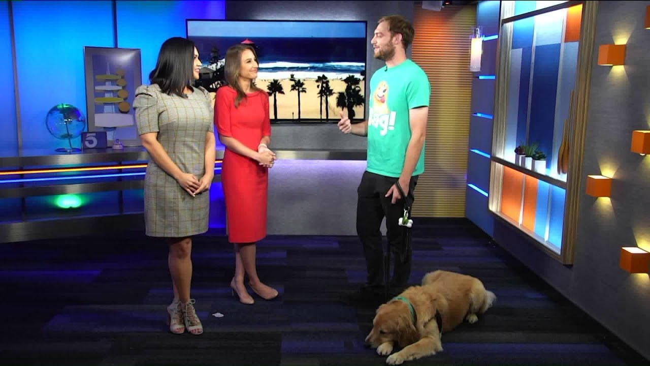 Professional Dog Walker Justin Cohen on the Many Benefits of Becoming a ...