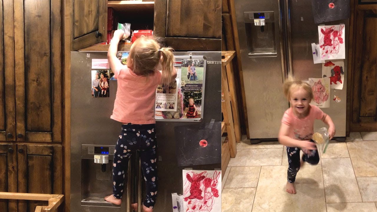 Three Year Old Climbs Fridge To Get Cookies - YouTube