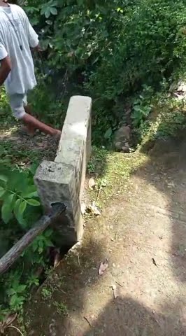 ikan baceman#shorts #kaliserayu #banyumas - YouTube