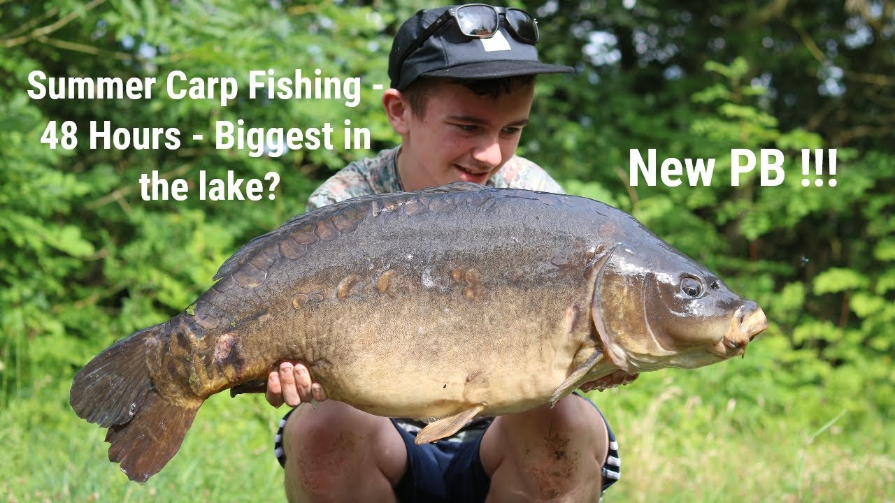 Summer Carp Fishing - 48 Hours - Biggest in the Lake - YouTube