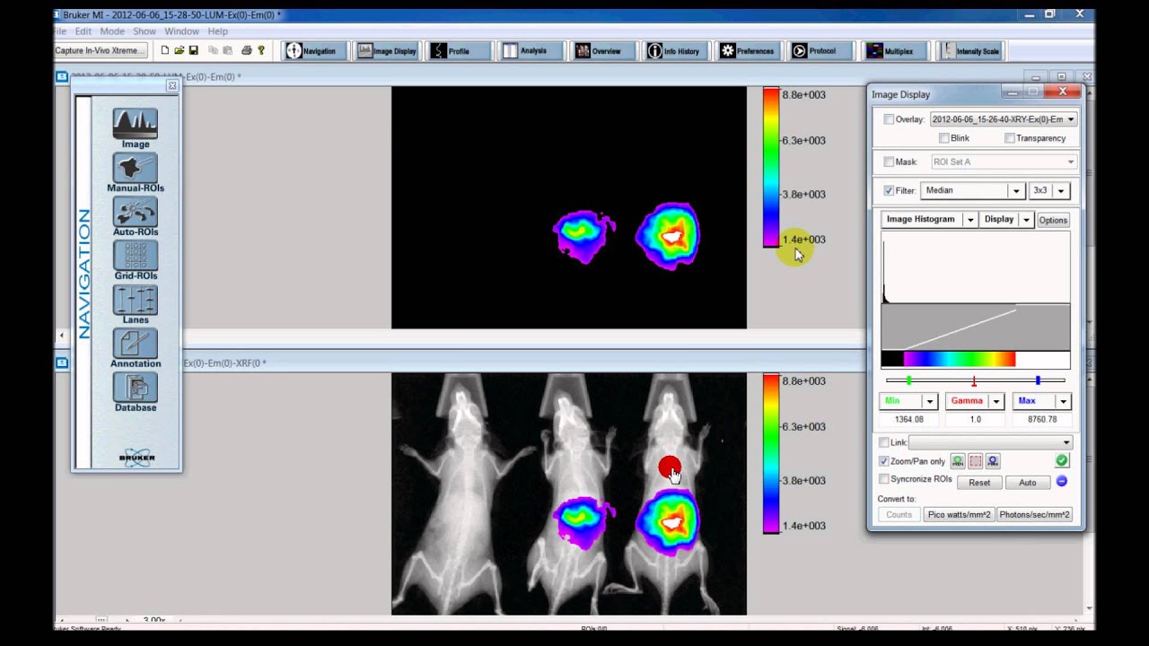 Bruker Molecular Imaging Software Overview - YouTube