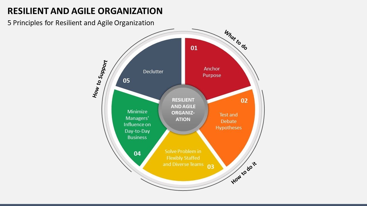 Resilient and Agile Organization Animated Presentation - YouTube