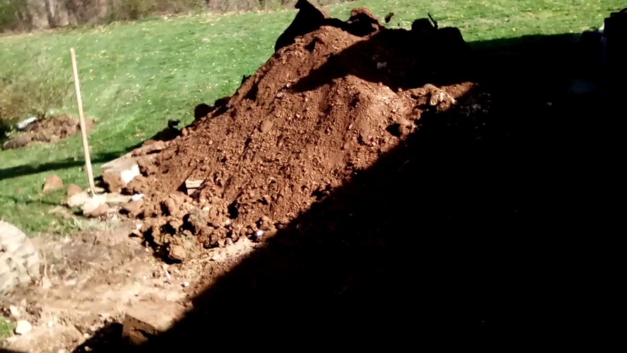 Digging up bones - YouTube