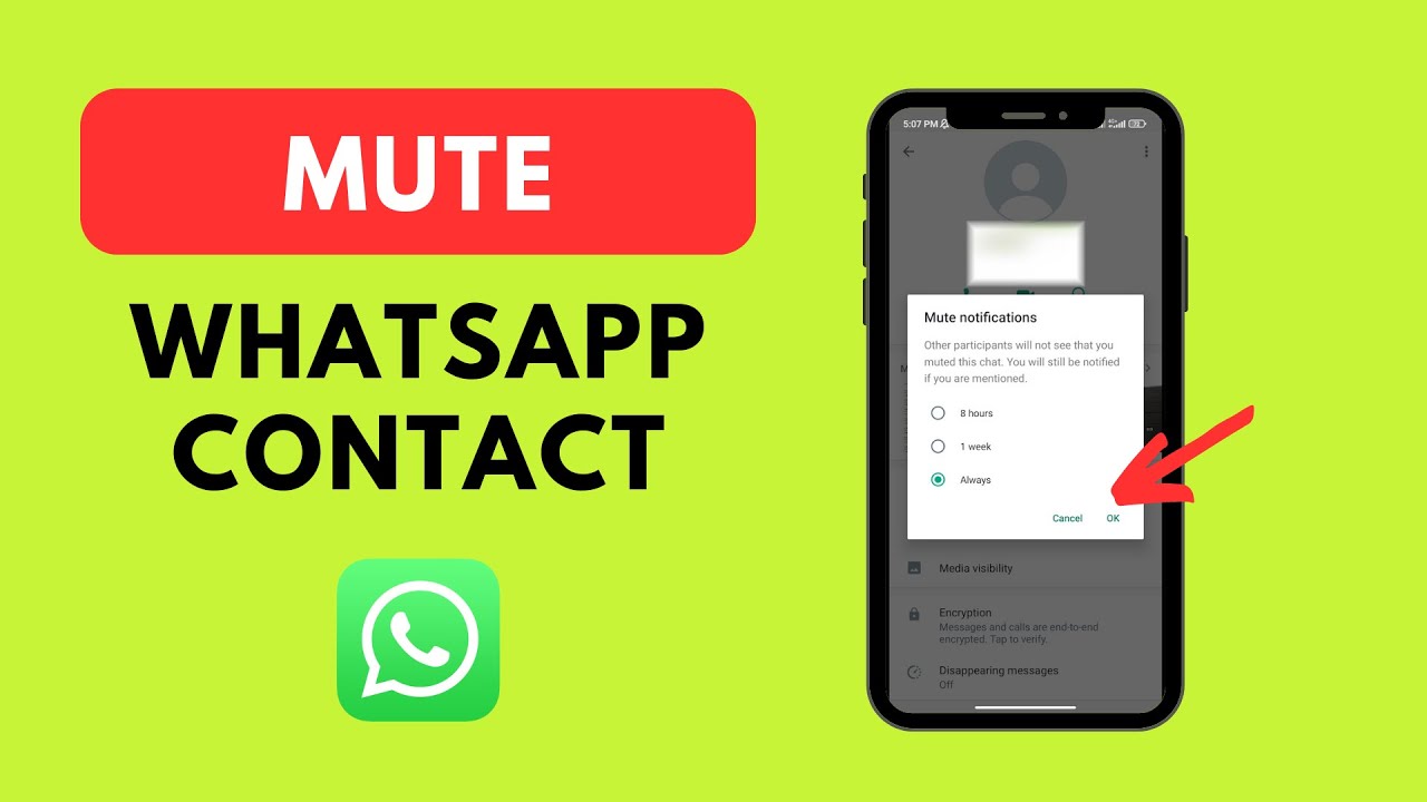 How To Mute Someone On Whatsapp 2023 Short Tutorial YouTube how-to-mute-someone-on-whatsapp-2023-short-tutorial-youtube