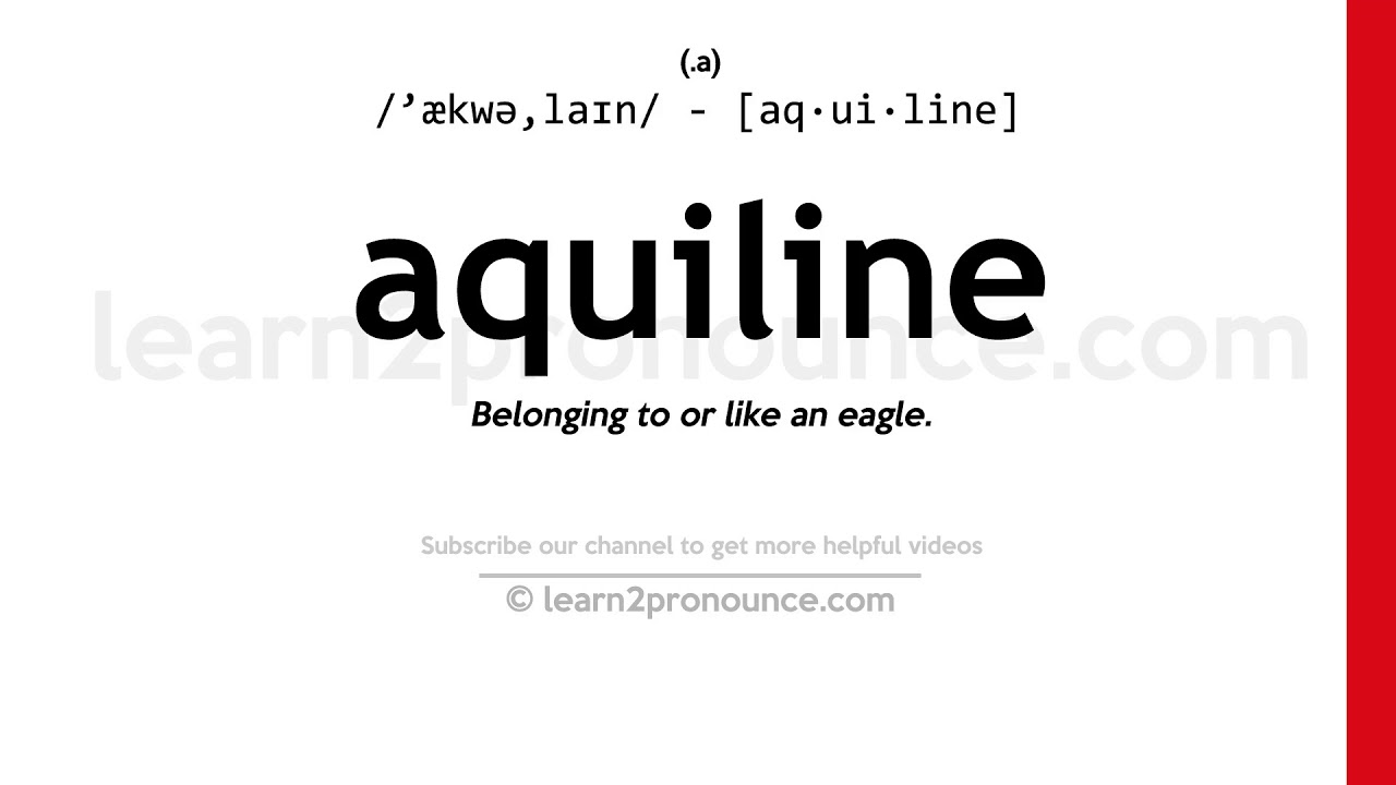Pronunciation of Aquiline | Definition of Aquiline - YouTube