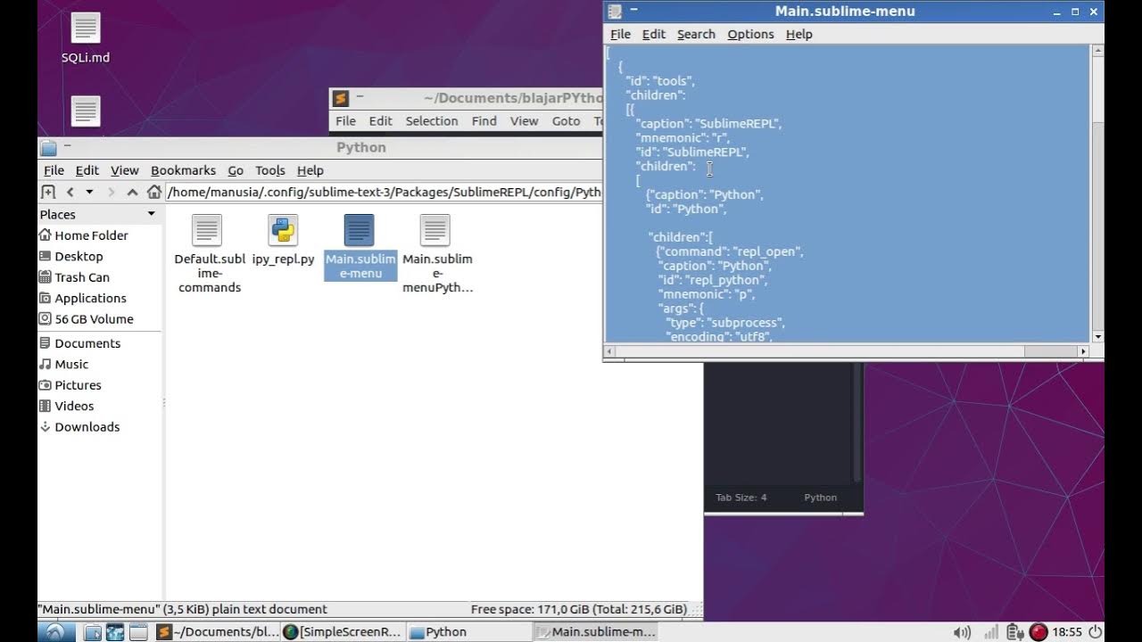 Setting up SublimeREPL with Python3 - YouTube