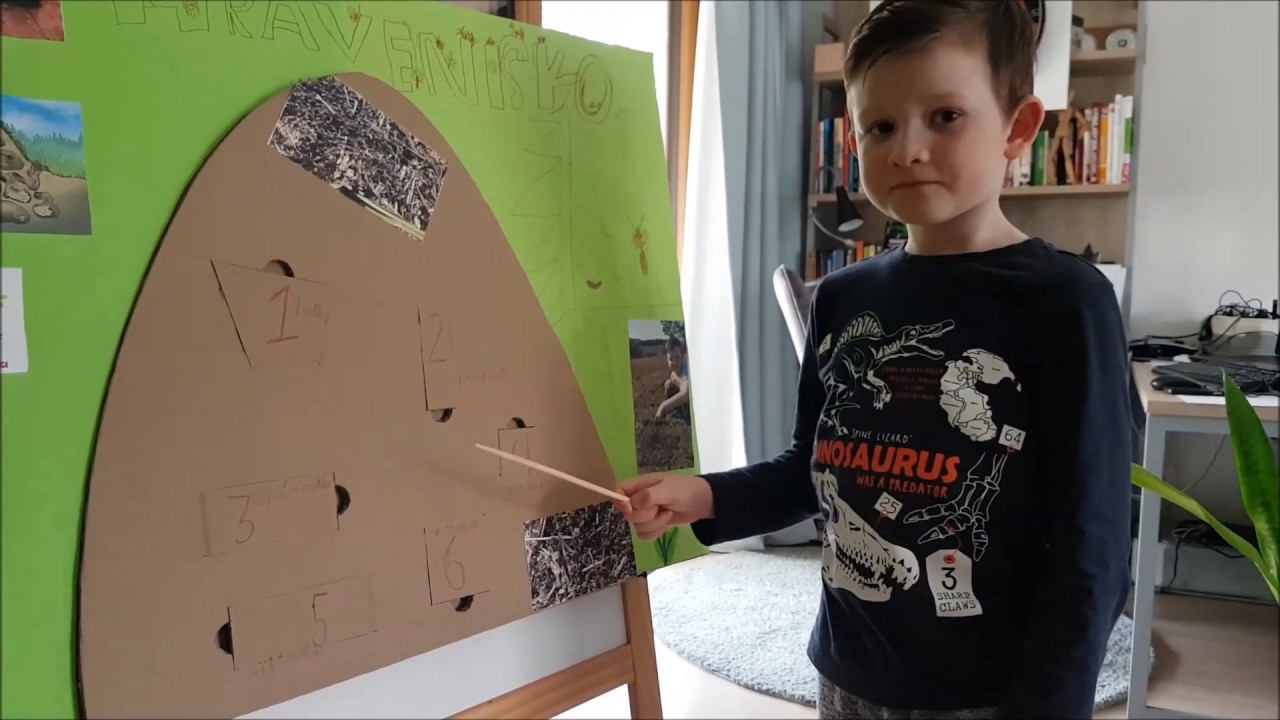 Projekt Mravce - YouTube
