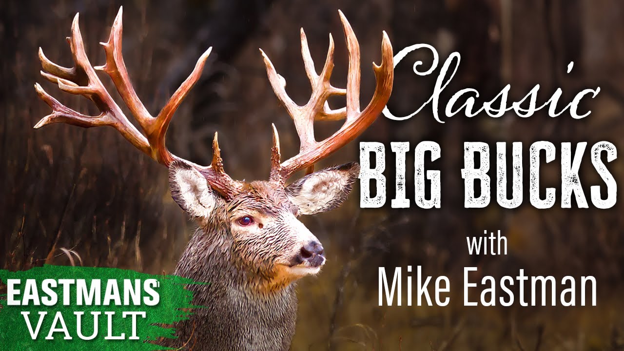 BIG Winter Range Mule Deer: Popeye, Corkscrew + More! | Eastmans ...