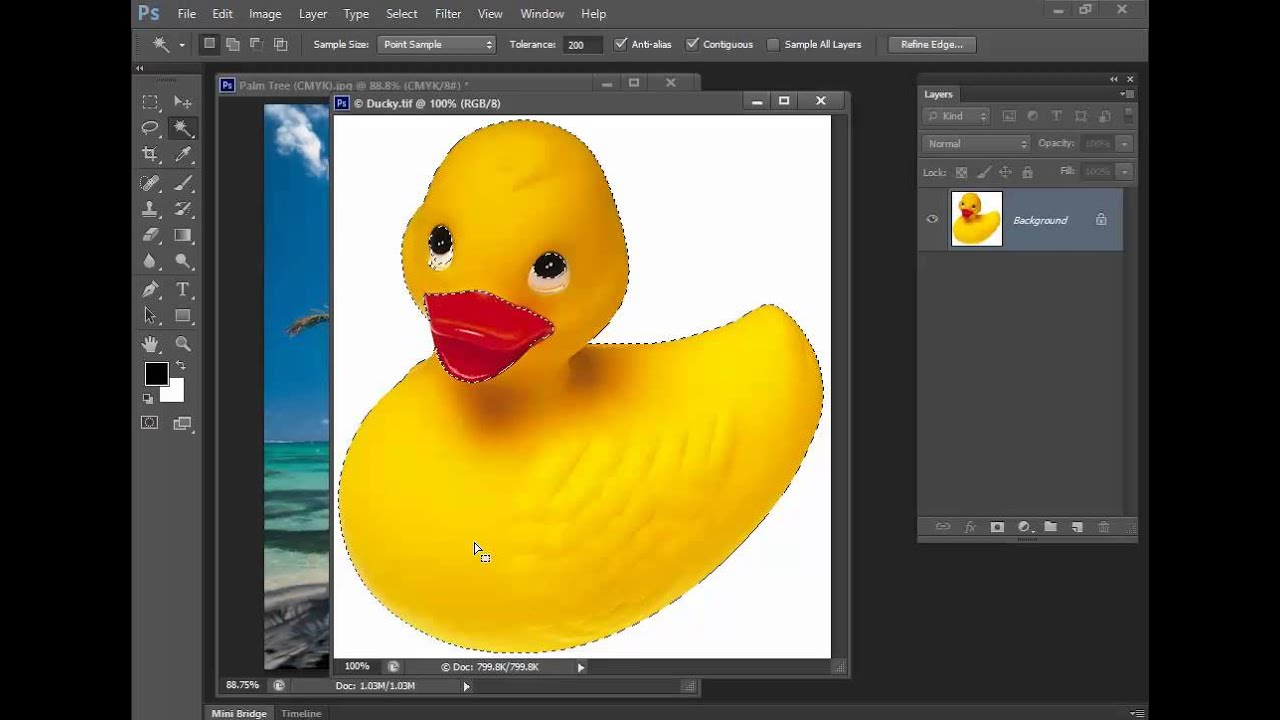 Using the Magic Wand tool for Selections in Photoshop CS6 - YouTube