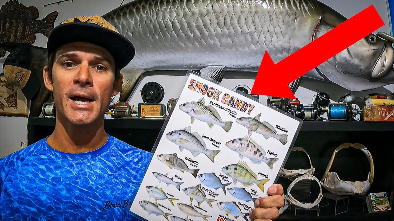 Best Fishing Baits! - SNOOK CANDY! - YouTube