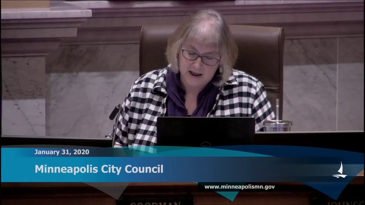 Lisa Goodman on CPED resolution, David Frank reappointment - YouTube