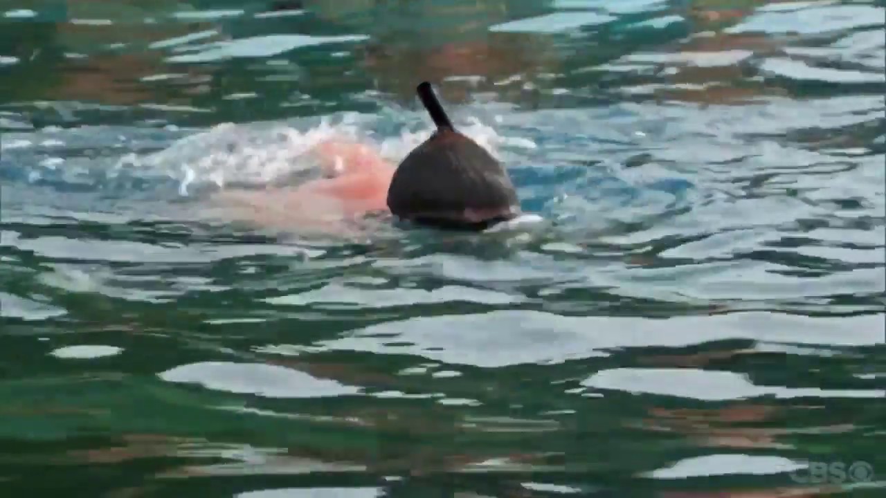 Dr. Mike Catches A Fish! Survivor Heroes V Healers V Hustlers - YouTube