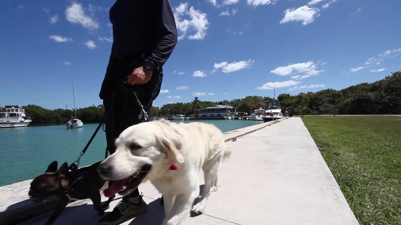 WELCOME LUPE! - YouTube