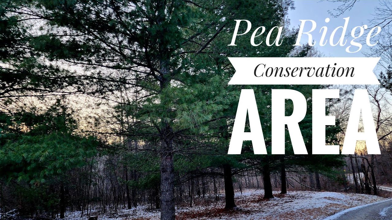 Free Camping in Missouri: Pea Ridge Conservation Area review - YouTube