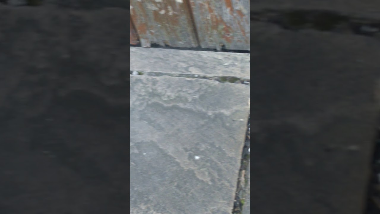 Indian sandstone before cleaning with sodium hypochlorite - YouTube