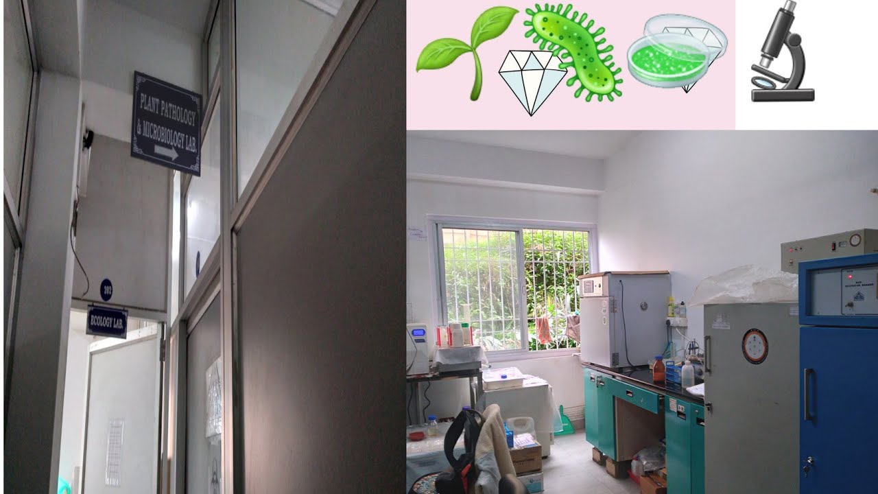 Microbiology Laboratory Tour#Sikkim University #Gangtok #SU ...
