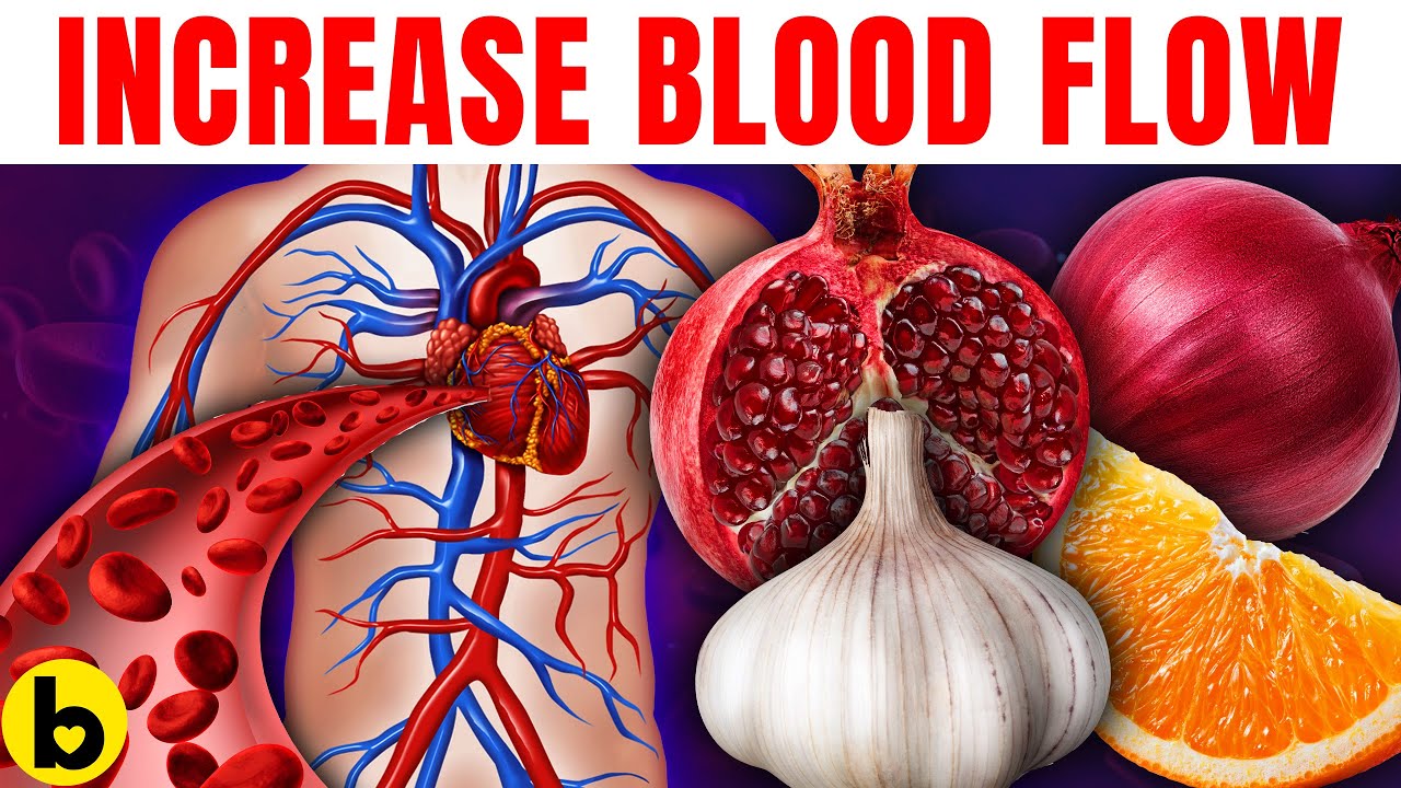 13 TOP Foods To Increase Your BLOOD FLOW & Circulation That You Must ...