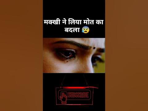 The Magical Fly and the Widow's Revenge - YouTube