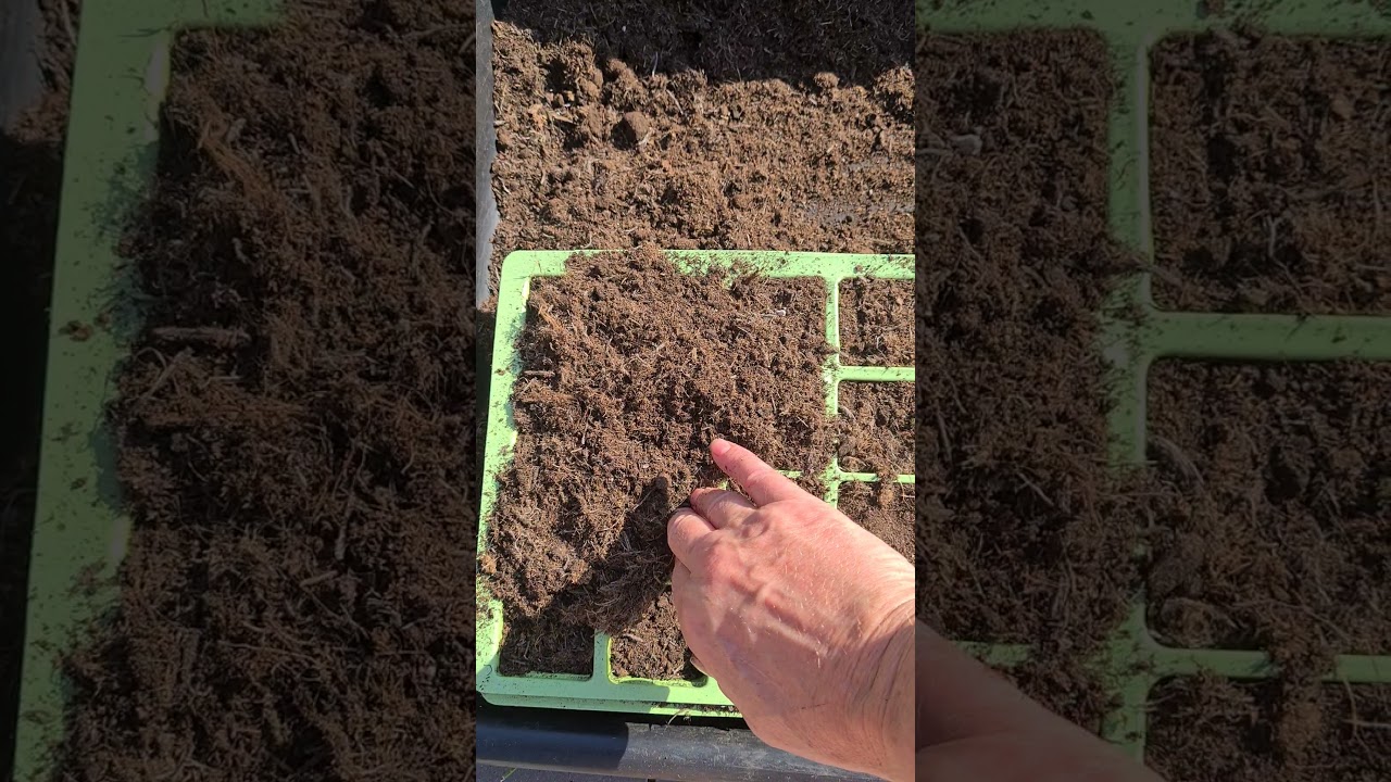 Autumn Seed Sowing @Charles Dowding Multi Sowing Method - YouTube