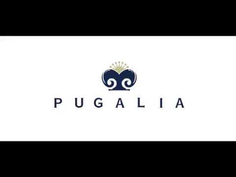 Pugalia Caterer | Celebrate Flavous, Celebrate Life - YouTube