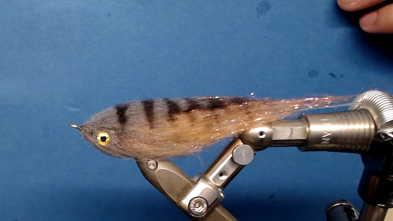 Big shank fly - YouTube