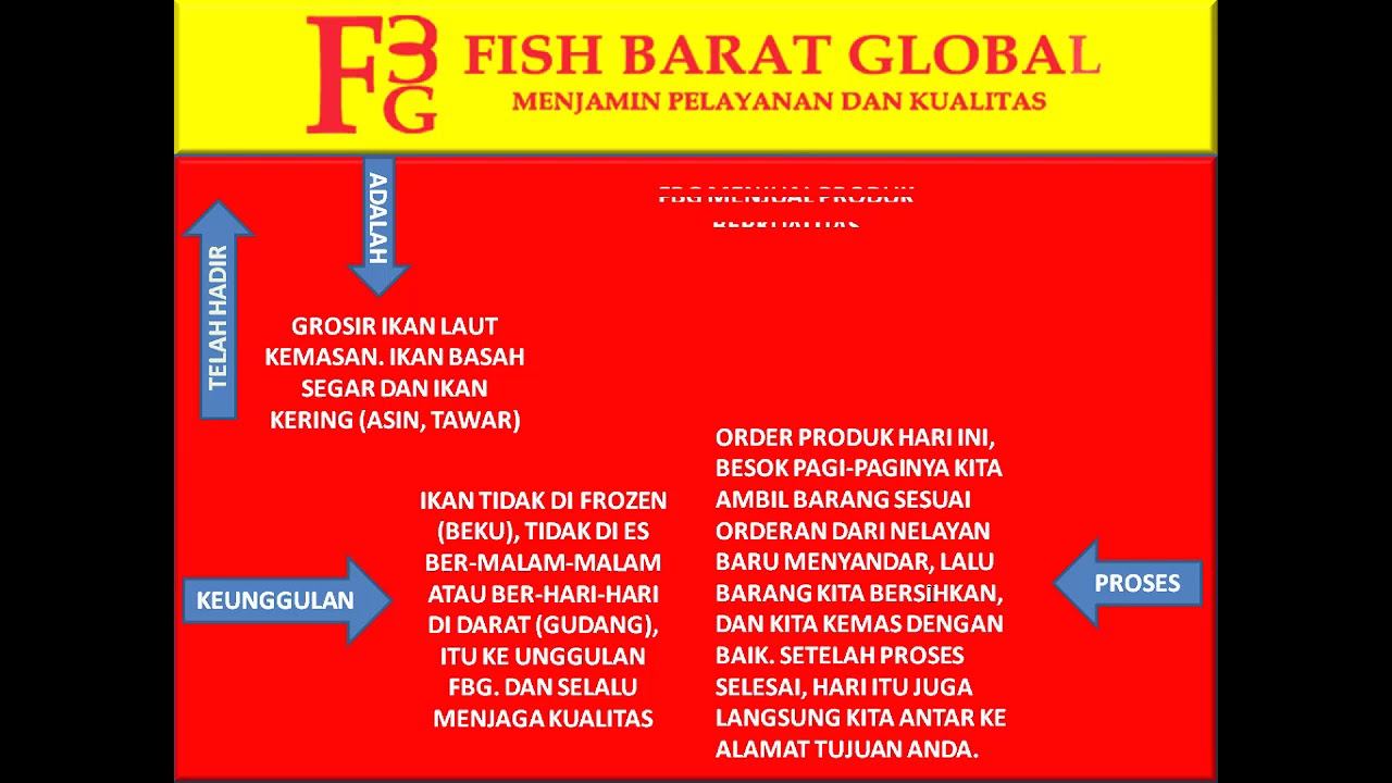 apa itu fish barat global FBG - YouTube