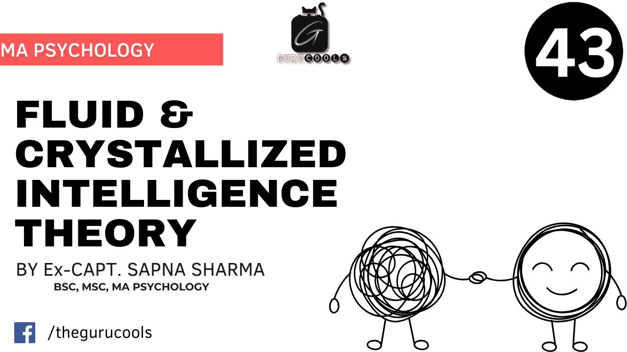 Fluid & Crystallized Intelligence Theory by Cattel & Horn. - YouTube
