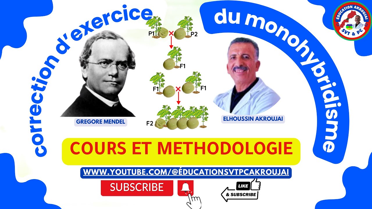 Travaux de Mendel: Monohybridisme Exercice d'application sur la ...