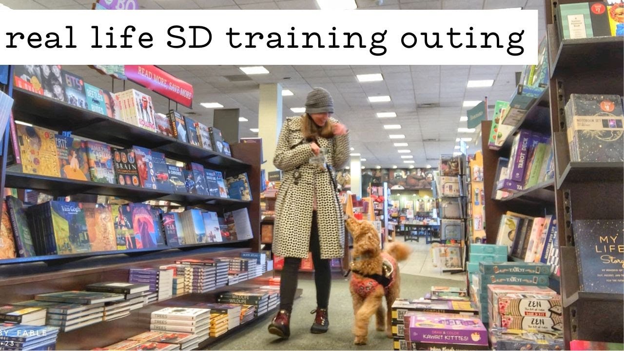 Service Dog PA Training, PTSD Exposure Therapy, Talking Buttons & more ...