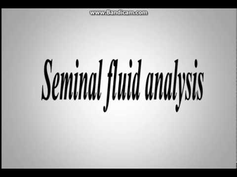 Seminal fluid Analysis part 1 - YouTube